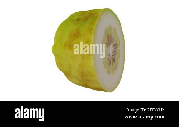 Realistic render of a spinning half Native Philippine Lemon on white ...
