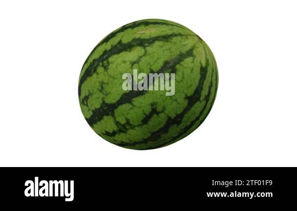 Realistic render of a rotating Watermelon on white background. The ...