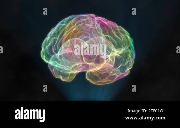 Wireframe 3D animation of the human brain. Rotating brain model with ...