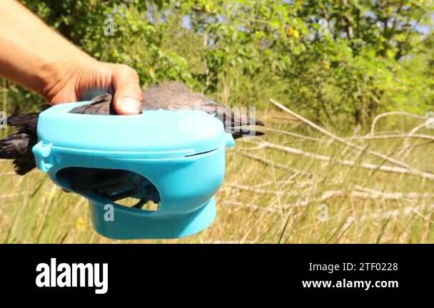 Separation from nature Stock Videos & Footage - HD and 4K Video Clips ...