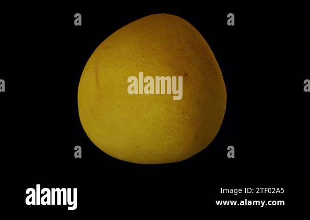Realistic render of a spinning partially peeled Pomelo (Pummelo) on ...