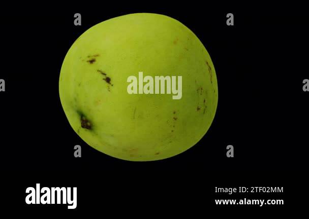 Realistic render of a spinning White Apple Mango (from Philippines) on ...