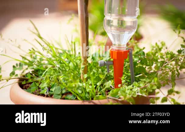 Auto drip irrigation system Stock Videos & Footage - HD and 4K Video ...