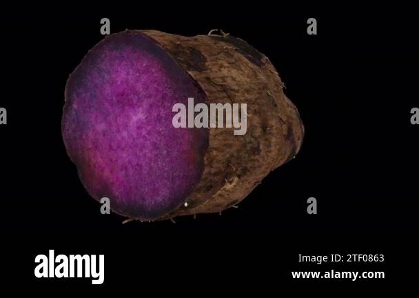 Realistic render of a rotating Purple Yam (Ube) cut in half on ...