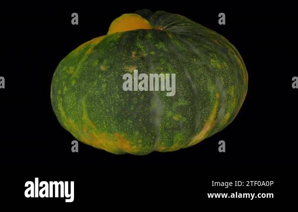 Realistic render of a spinning cut Green Pumpkin on transparent ...