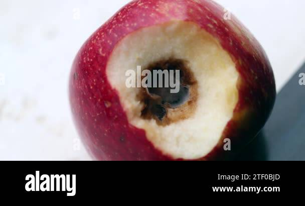 Apple decomposition Stock Videos & Footage - HD and 4K Video Clips - Alamy