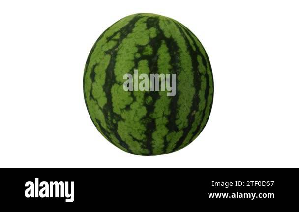 Realistic render of a spinning Watermelon on white background. The ...
