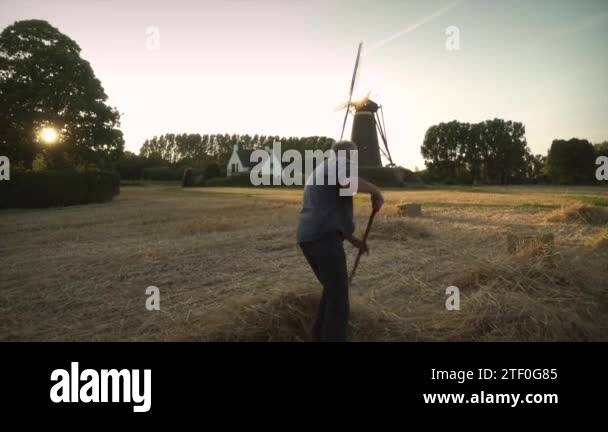 Farmer rakes the hay together by hand. With a Dutch Windmill in the ...