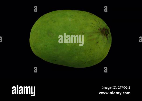 Realistic render of a rolling cut Philippine Green Mango (Katchamitha ...