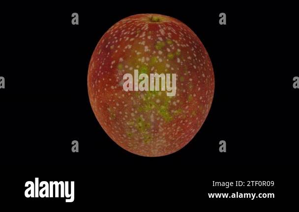 Realistic render of a spinning Passion Fruit on transparent background ...