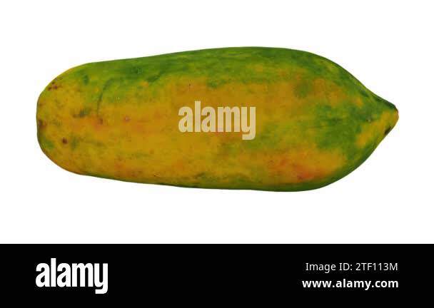 Realistic render of a rolling Ripe Papaya (Red Lady variety) on white ...