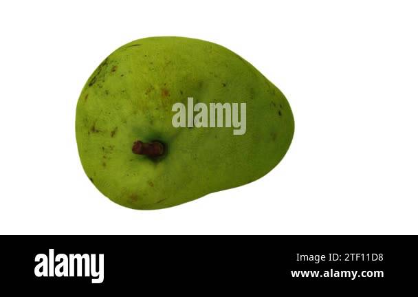 Realistic render of a spinning cut Green (Unripe) Ivory Mango on white ...