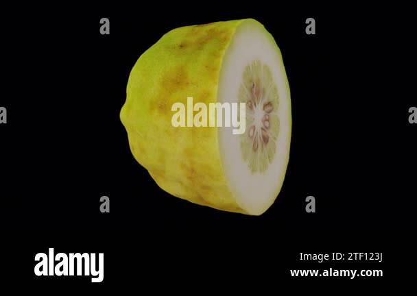 Realistic render of a spinning half Native Philippine Lemon on ...