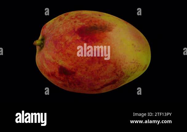 Realistic render of a rolling Apple Mango (from Philippines) on ...