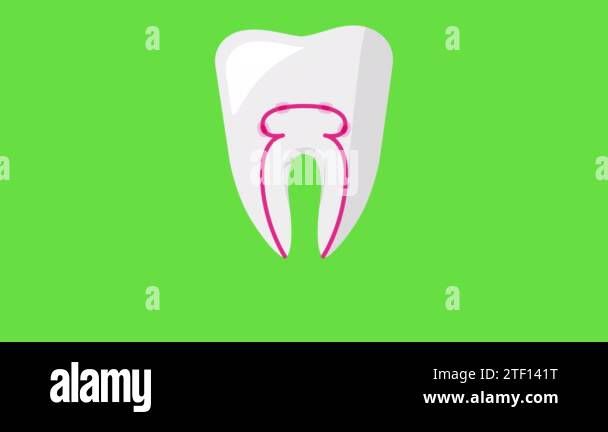 4k video of cartoon tooth on green background Stock Video Footage - Alamy