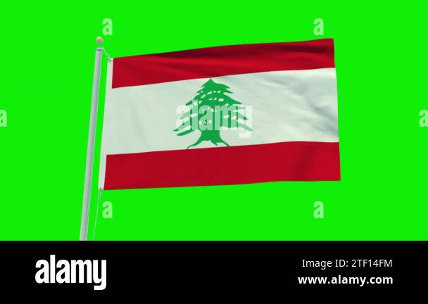 Seamless loop animation of the Lebanon flag on a green screen ...