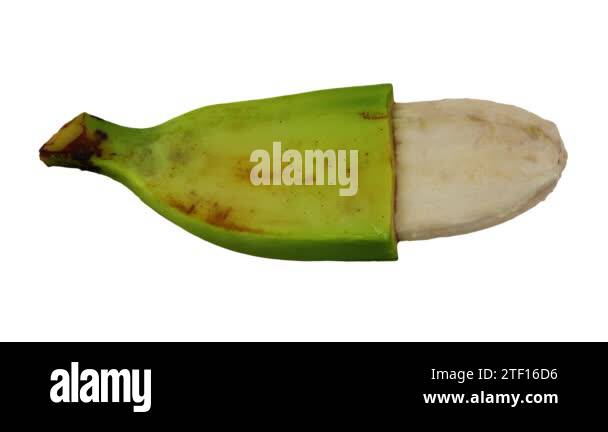 Realistic render of a rolling partially peeled Cooking Banana (Saba ...