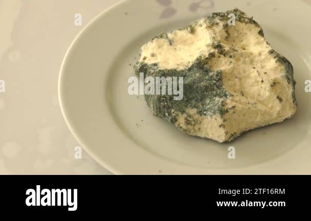 moldy cheese,close-up very moldy cheese,penicillin raw material cheese ...