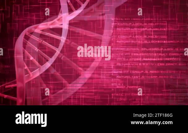 Animation Of Dna Helix Rotating Over Programming Language Over Moving In Loop Hologram