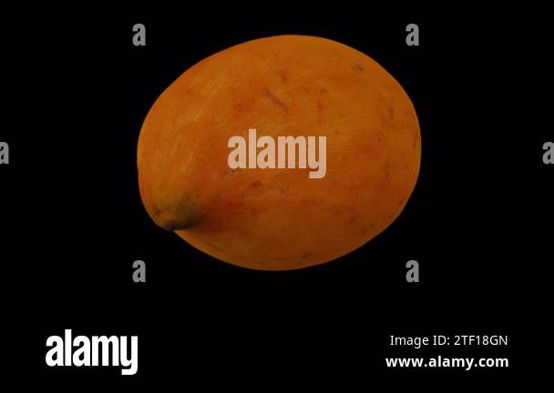 Realistic render of a rotating Canistel (Eggfruit, Tisa) on transparent ...