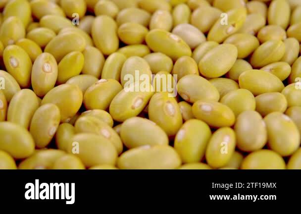 Peruano bean Stock Videos & Footage - HD and 4K Video Clips - Alamy