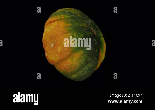 Realistic render of a rotating cut Green Pumpkin on transparent ...
