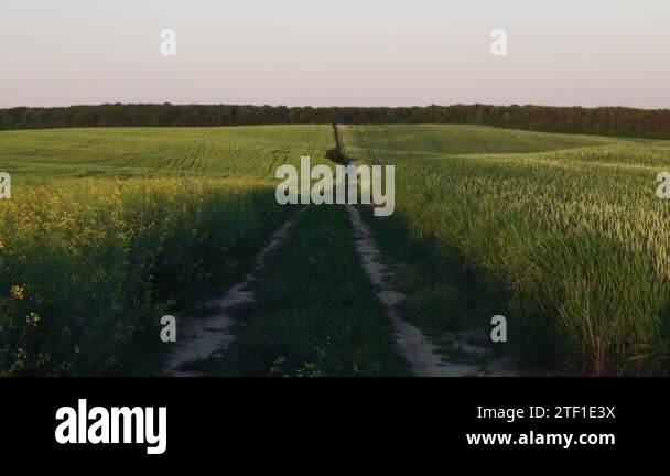 Field borders Stock Videos & Footage - HD and 4K Video Clips - Alamy