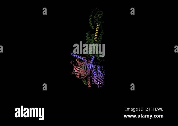 Human secretin (orange) receptor (green) Gs complex. Animated 3D ...
