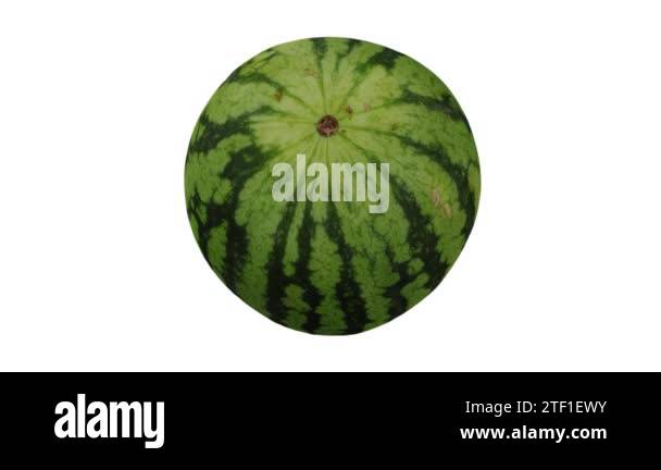 Realistic render of a rolling Watermelon on white background. The video ...