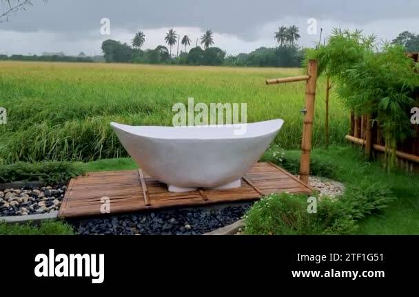 white bathtub between a beautiful green paddy field in Thailand, bath ...