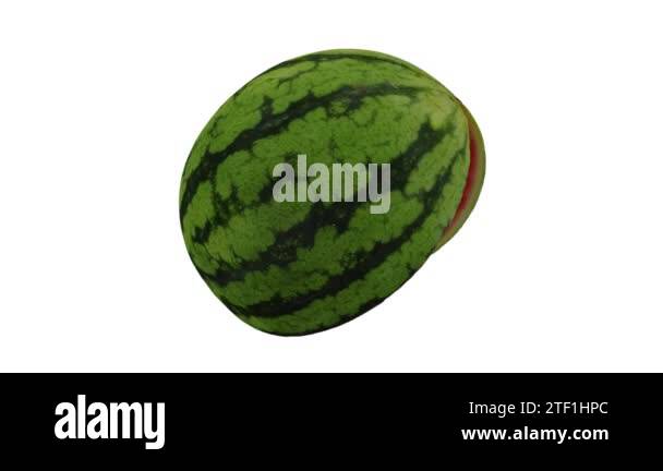 Realistic render of a rotating cut Watermelon on white background. The ...