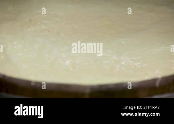 Handmade process production mozzarella cheese making manually cheese ...