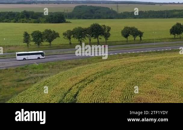 Top view bus Stock Videos & Footage - HD and 4K Video Clips - Alamy