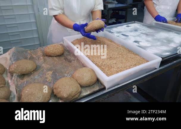 Women roll fresh loaves of bread in breading crumbs before baking ...