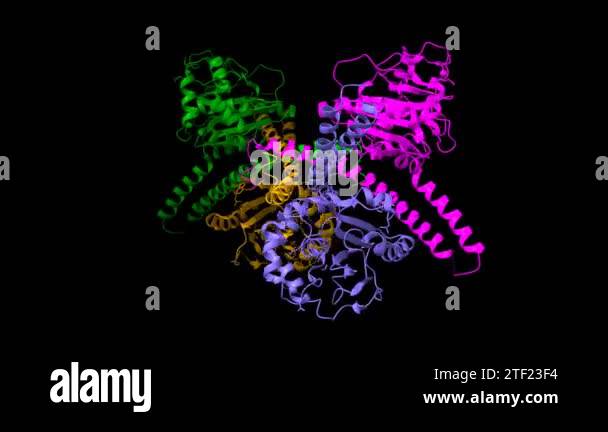 Structure Of Ubiquitin Carboxyl Terminal Hydrolase Isozyme L5 Uch37