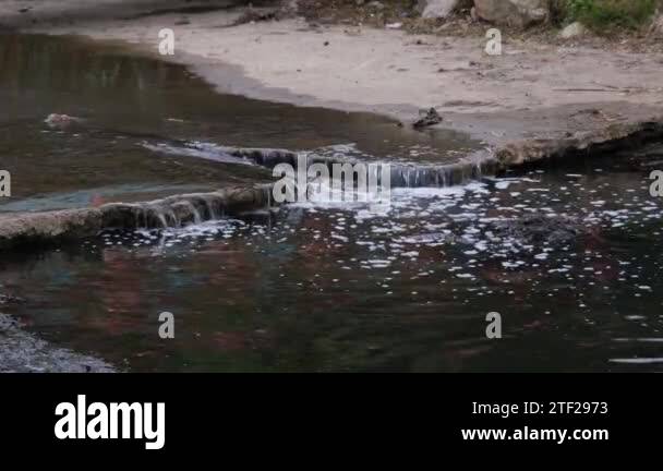 Water channel pollution Stock Videos & Footage - HD and 4K Video Clips ...