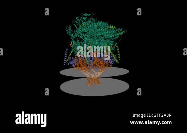 Core complex Stock Videos & Footage - HD and 4K Video Clips - Alamy