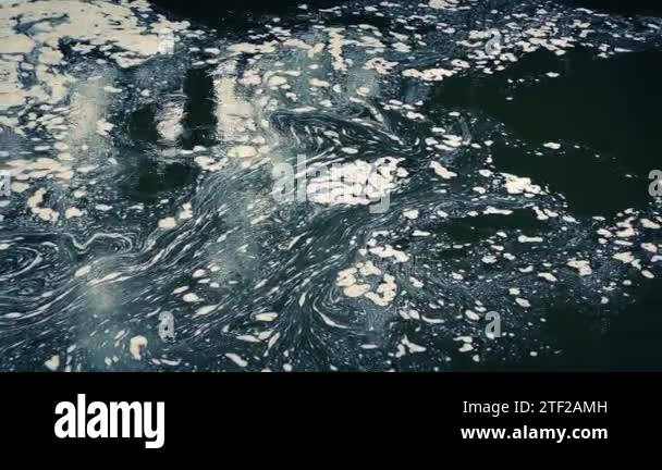 Scum on river Stock Videos & Footage - HD and 4K Video Clips - Alamy