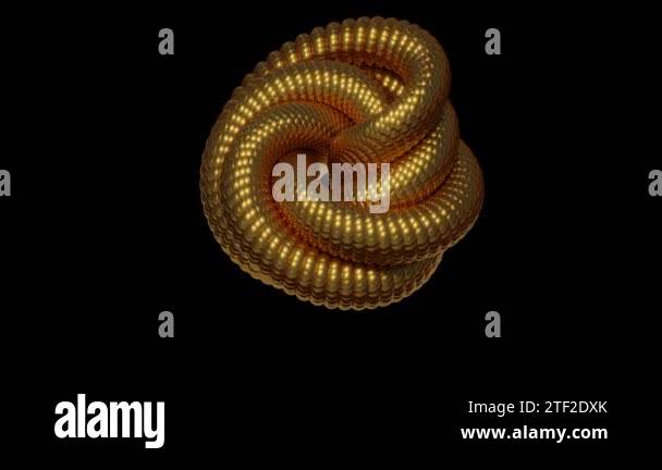 Shiny skin texture Stock Videos & Footage - HD and 4K Video Clips - Alamy