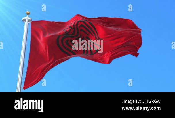 Raven banner viking Stock Videos & Footage - HD and 4K Video Clips - Alamy