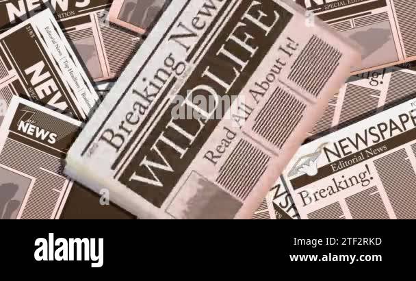 News media cartoon Stock Videos & Footage - HD and 4K Video Clips - Alamy