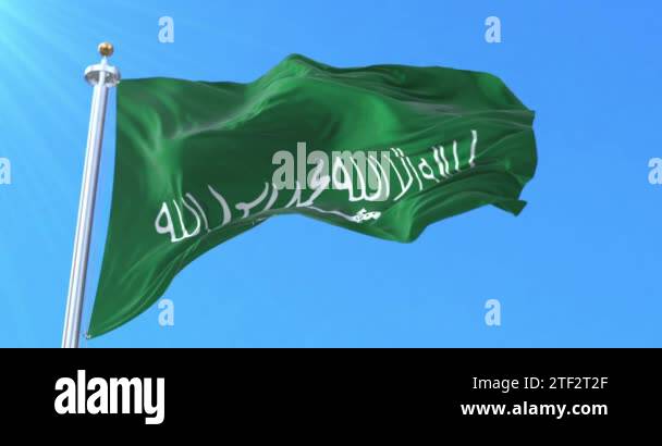 Indigenous forces Stock Videos & Footage - HD and 4K Video Clips - Alamy