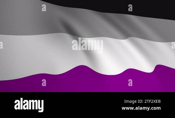 Transition between flags of various LGBTQ collectives. 3D loop ...