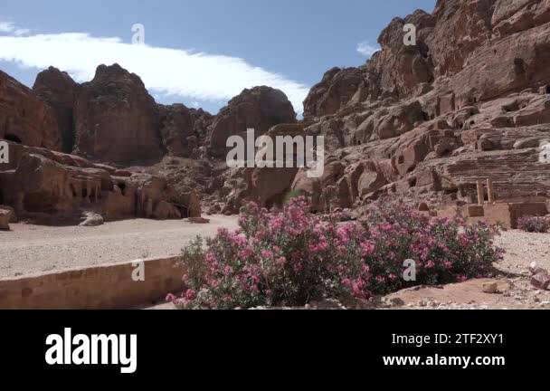 Jordan peter Stock Videos & Footage - HD and 4K Video Clips - Alamy