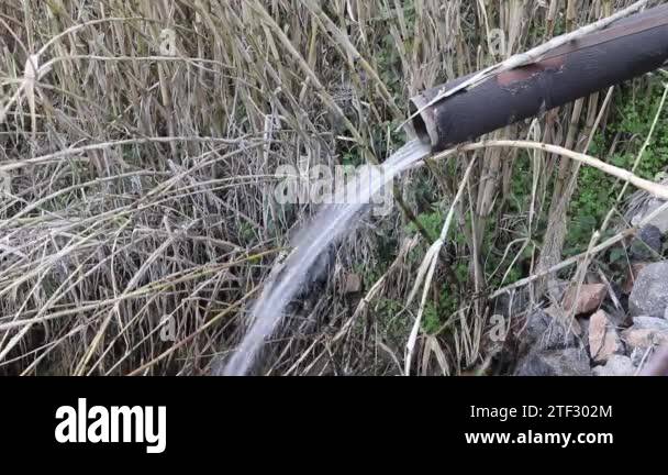 Emissions of Dirty Waste Water from a Pipe Outgoing First into the ...