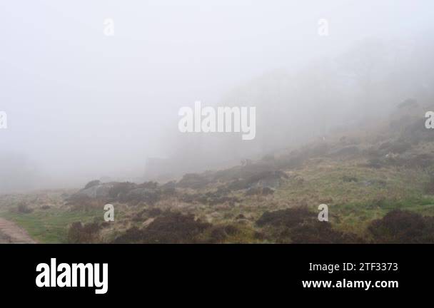 Bleak moor, woodland, rocks and mist at The Roaches, Upper Hulme in the ...