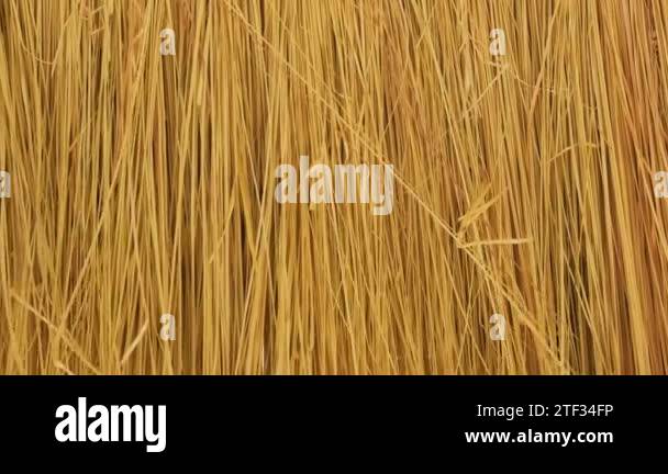Straw texture wallpaper background Stock Videos & Footage - HD and 4K ...