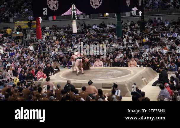 Sumo tournament in Japan. Sumo wrestlers fight. Sumo match in ...