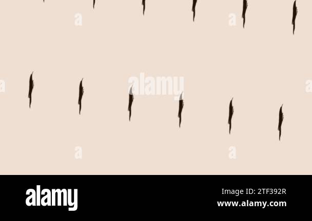 Raven vector logo Stock Videos & Footage - HD and 4K Video Clips - Alamy