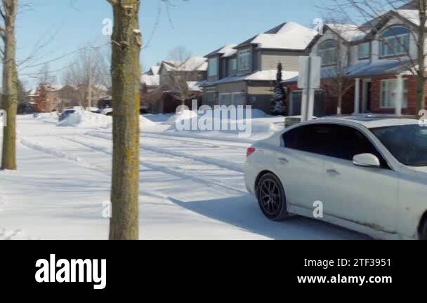 fluffy; snow; winter; coniferous; pine; frosty; forest; covered ...